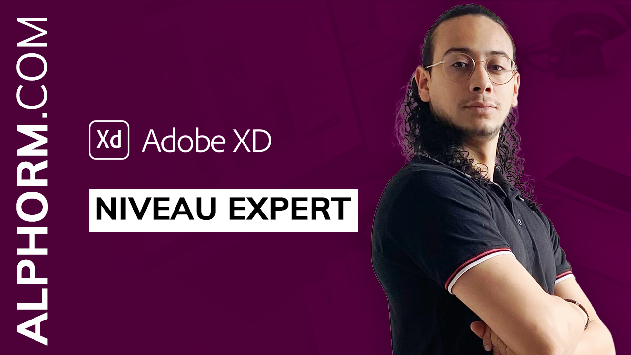 Formation Adobe XD 3/3 : Réaliser le design d'une Application Web ...