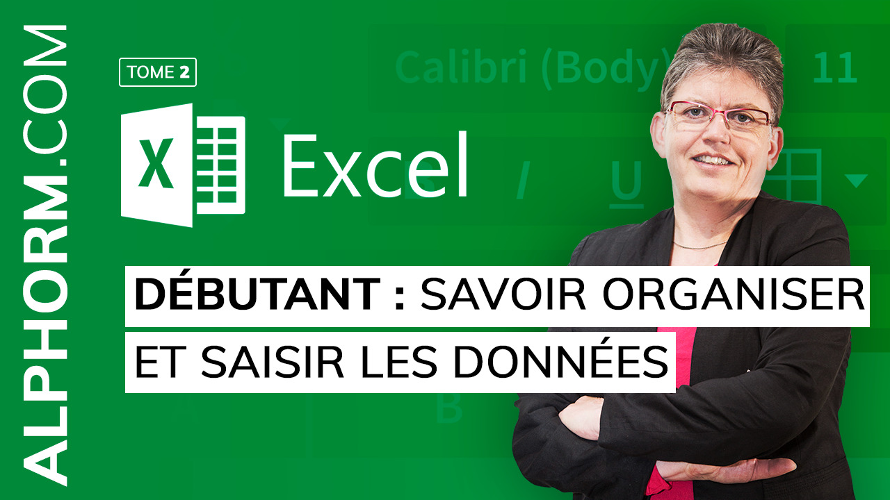 Formation EXCEL 2016, Débutant (2/3): Savoir organiser et saisir les ...