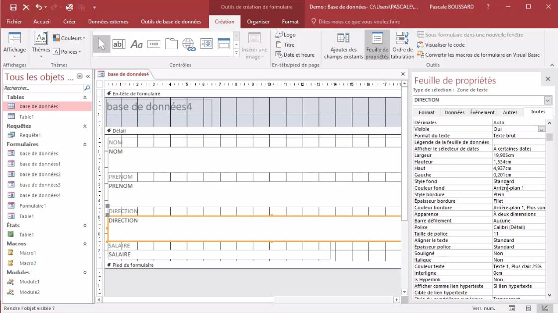 Access VBA BASES DE DONNÉES ACCESS