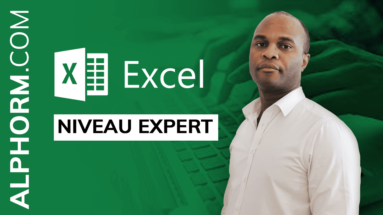 Excel 2019 : Niveau Expert - Devenez un Pro