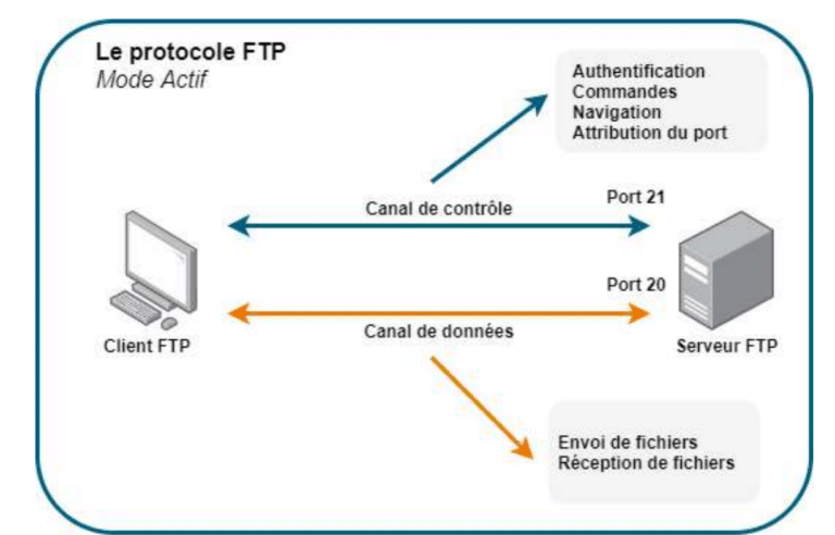 Réseau Wireshark Blue Teaming