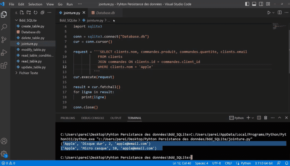 Formation Python - Cursus Complet pour Développeurs