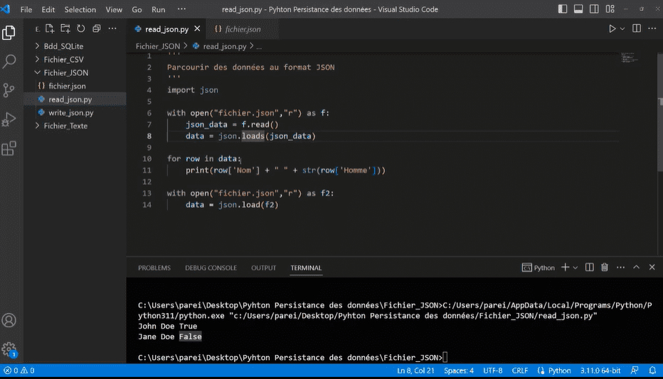 Formation Python : Se former à la persistance des données | Alphorm.com