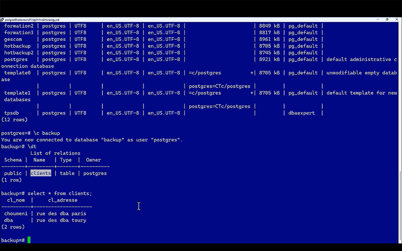Apprenez Postgresql 14 Installation Et Administration Facile