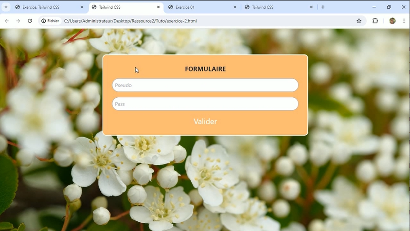 Maîtrisez Tailwind CSS : Formation Complète de l'Installation à l'Optimisation