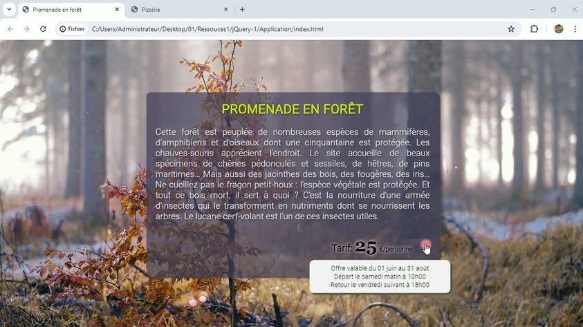 Maîtriser jQuery : Les Fondamentaux Pratiques