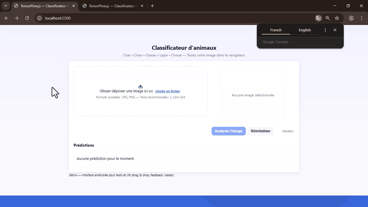 Deep Learning avec TensorFlow.Js | Formation Complète