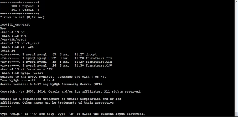 MySQL - Parcours de formation en bases de données