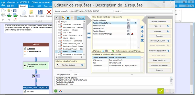 Formation WebDev 21 | Alphorm.com