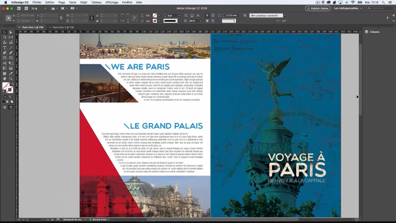 Formation Adobe InDesign : De Débutant à Avancé