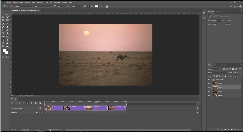 Formation Adobe Photoshop CC 2019 : L'essentiel | Alphorm.com