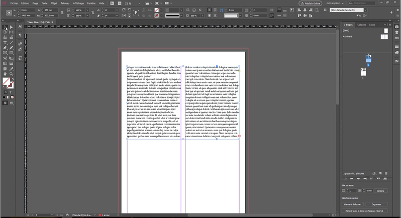 Adobe InDesign CC 2019 : L'essentiel