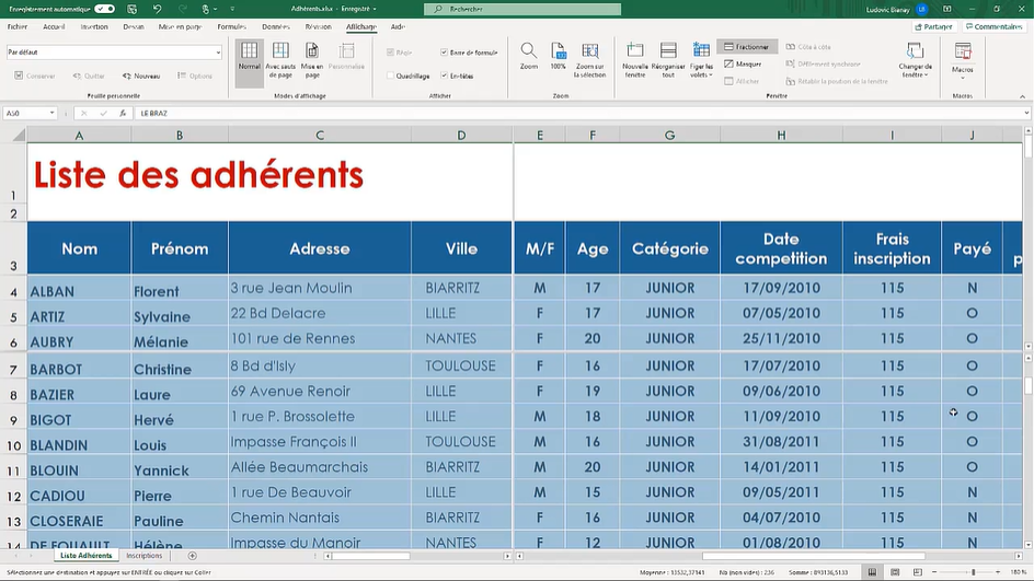 Excel 2019 : Niveau Expert - Devenez un Pro